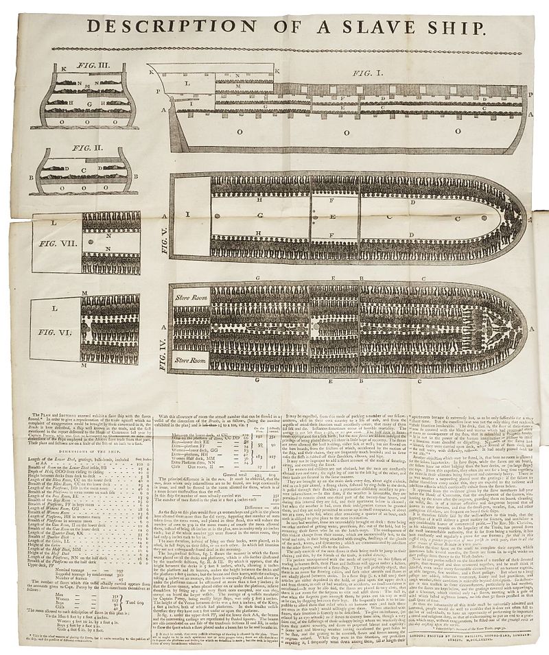 How the Emergence of Capitalism in the Early Modern Period Fuelled the ...